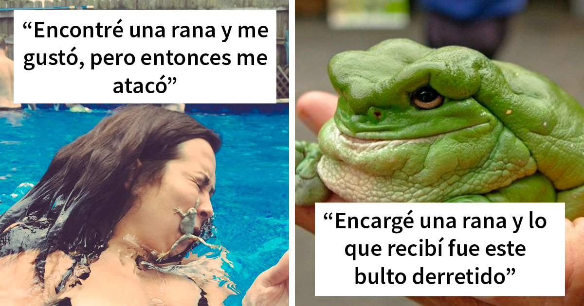 45 Fotos de ranas tan graciosas como adorables para alegrarte el día
