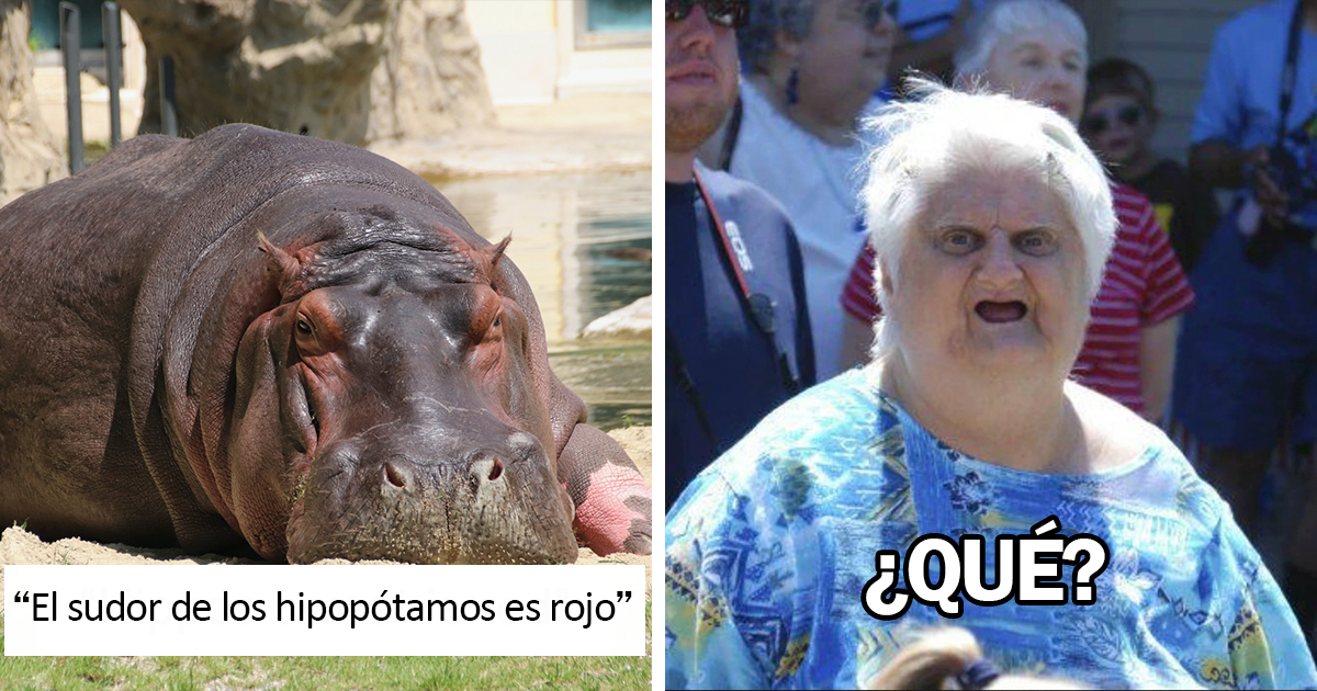 30 Datos interesantes y extraños sobre animales que no mucha gente ...