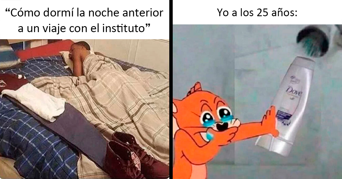 La gente comparte 20 memes dolorosamente divertidos para resumir la ...