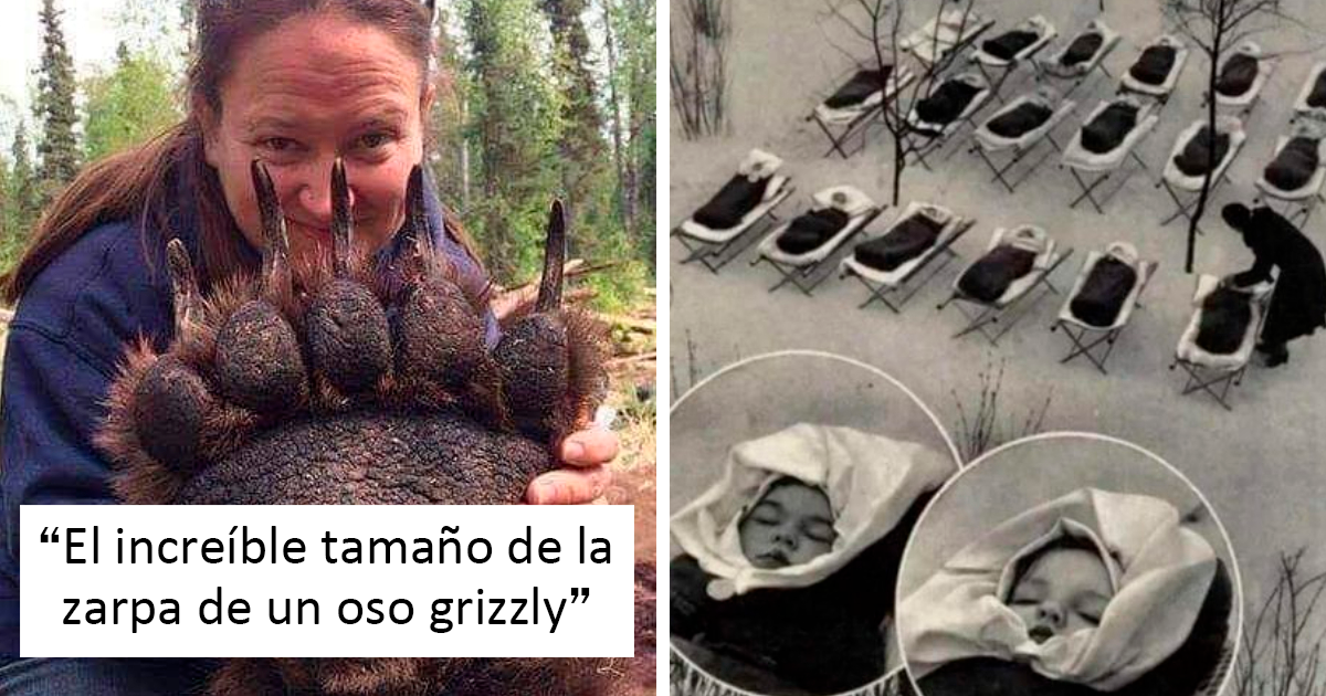 45 Cosas raras, maravillosas y extrañas que hay en el mundo ...