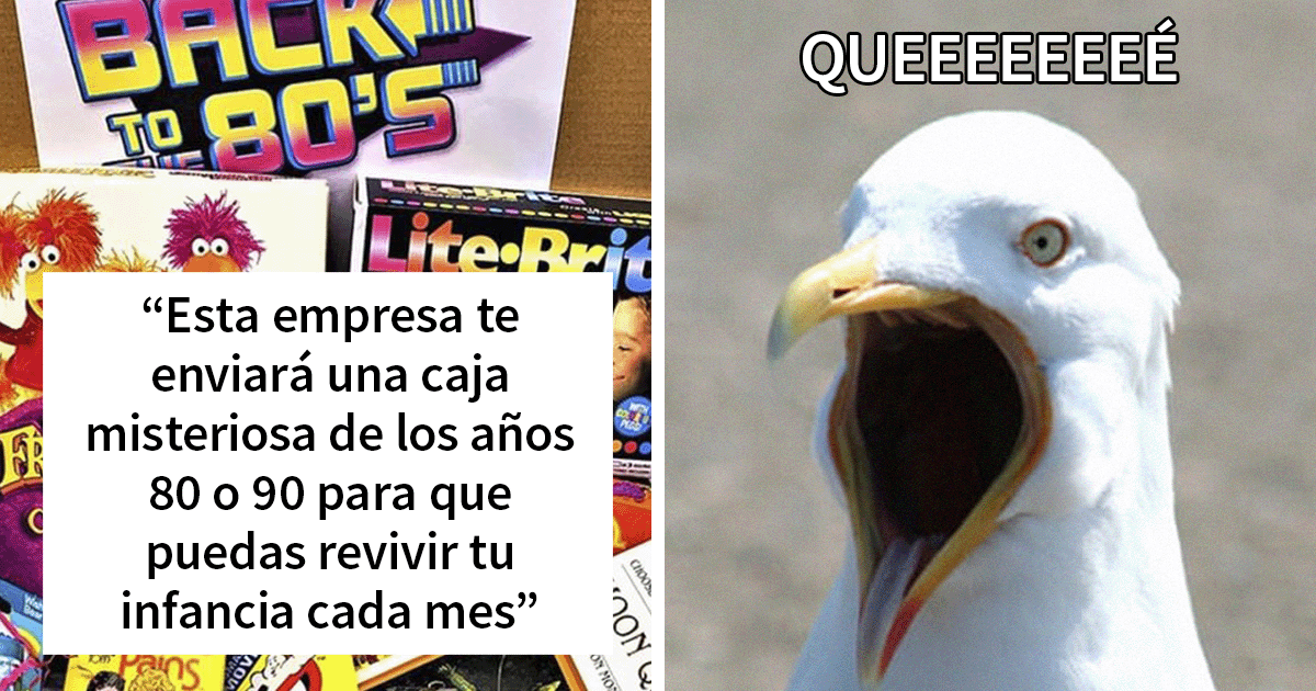 «Sí, eso existe»: 20 Cosas que quizá no sabías que existían ...