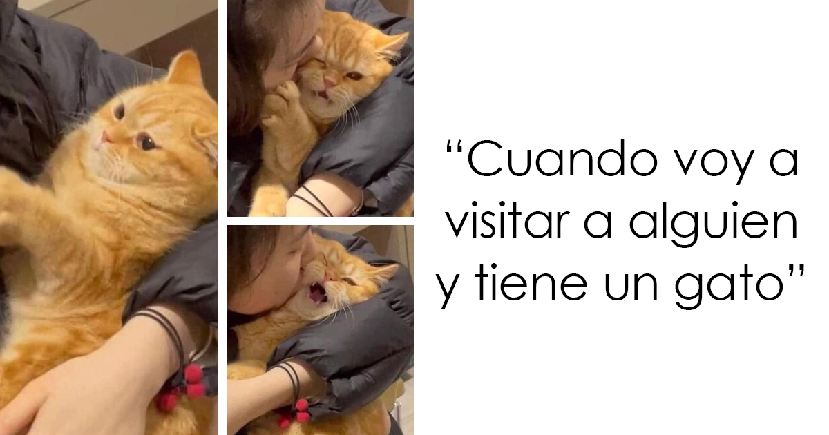 Fotos Chistosas De Animales Para Facebook