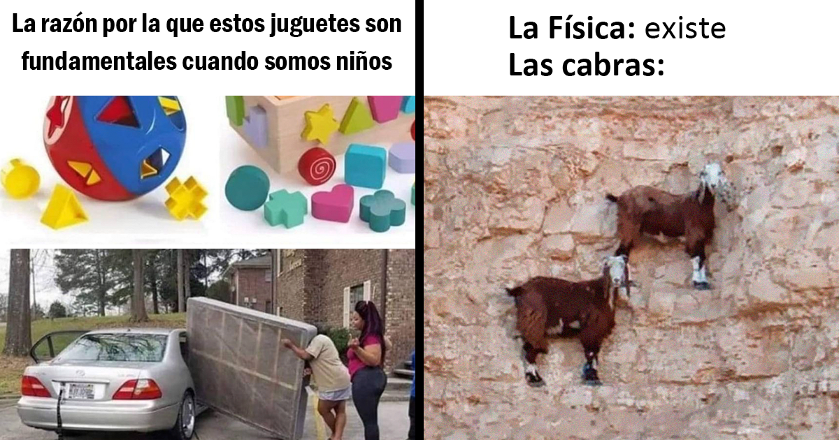 20 Divertidos memes sobre «humor científico (nuevas imágenes) | Panda ...