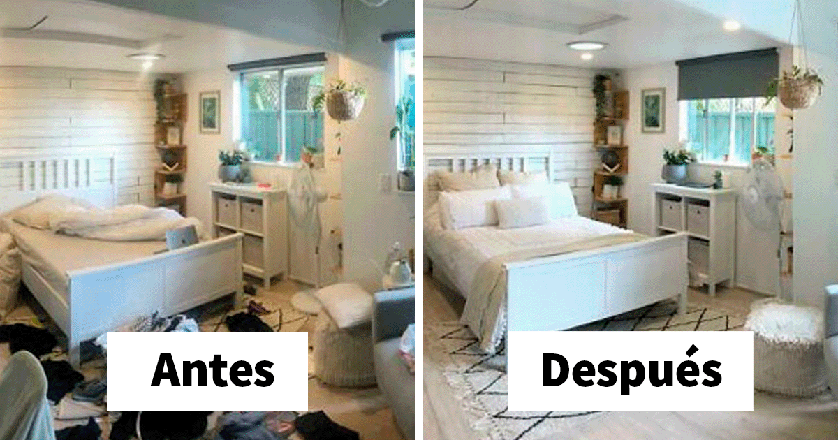 Imágenes De Antes Y Después De La Limpieza Maestra De 10 Días