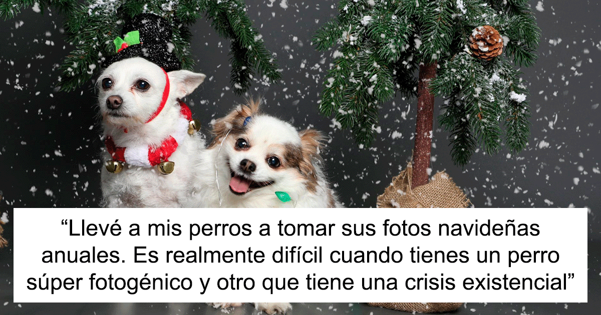 20 Memes navideños que te pondrán de buen humor (nuevas imágenes ...