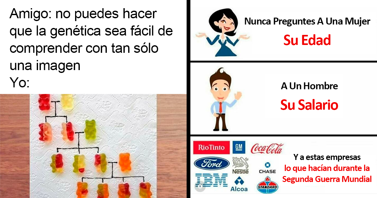 20 Divertidos y educativos memes que podrían enseñarte algo | Panda Curioso