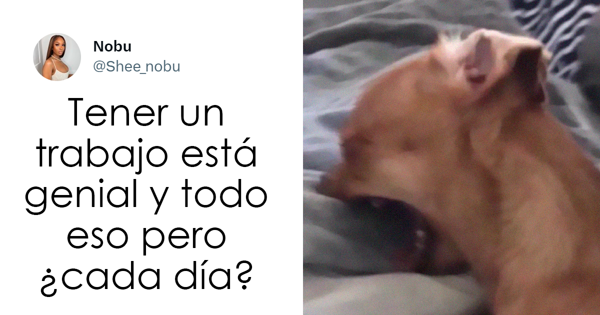 20 Memes muy sarcásticos que te harán reír | Panda Curioso