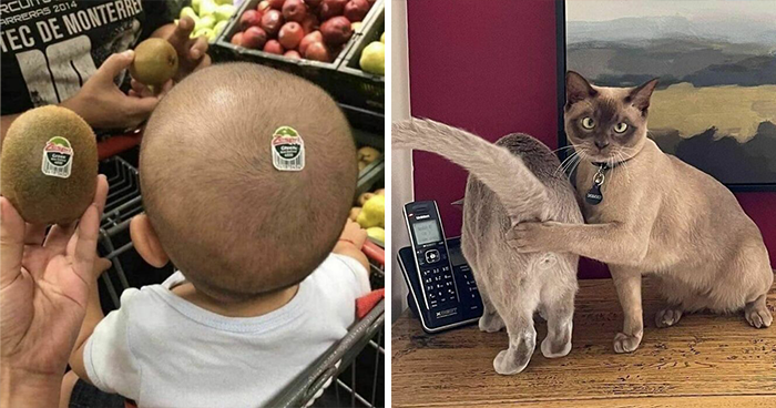 Esta cuenta de Instagram comparte fotos sin contexto y estas son 30 de ...