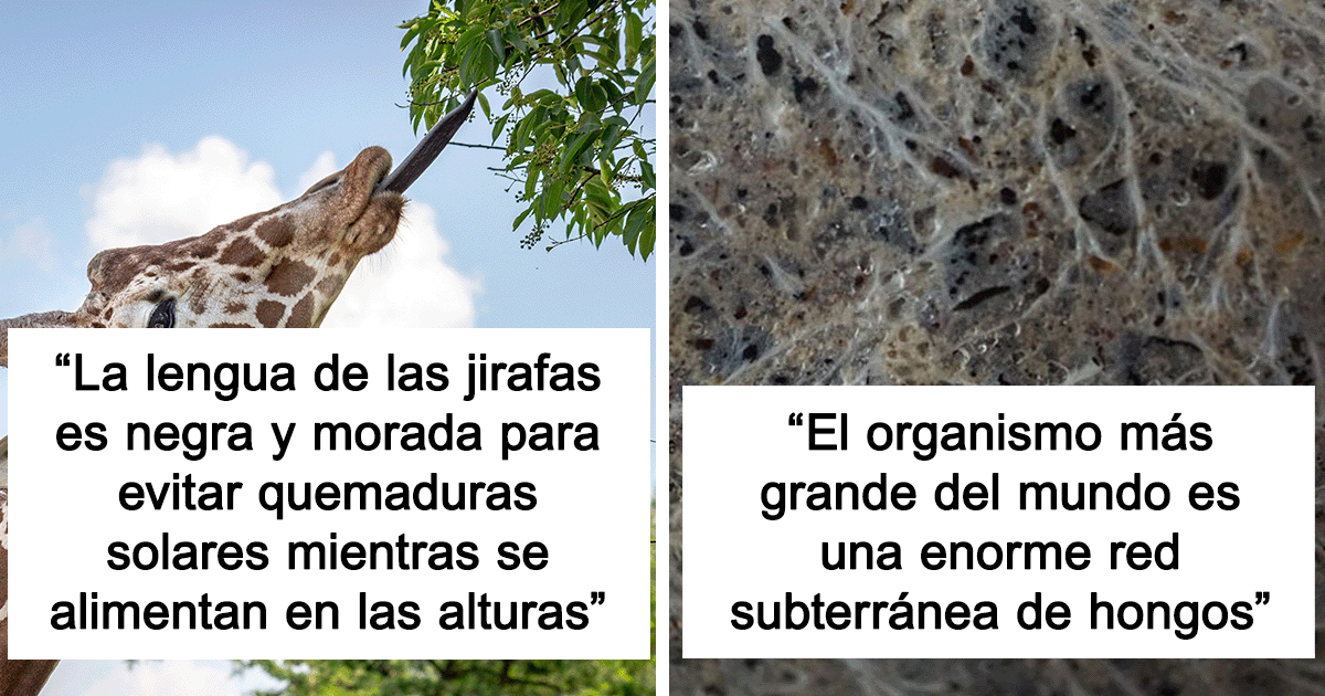 25 Datos científicos que parecen increíbles, pero son reales | Panda ...