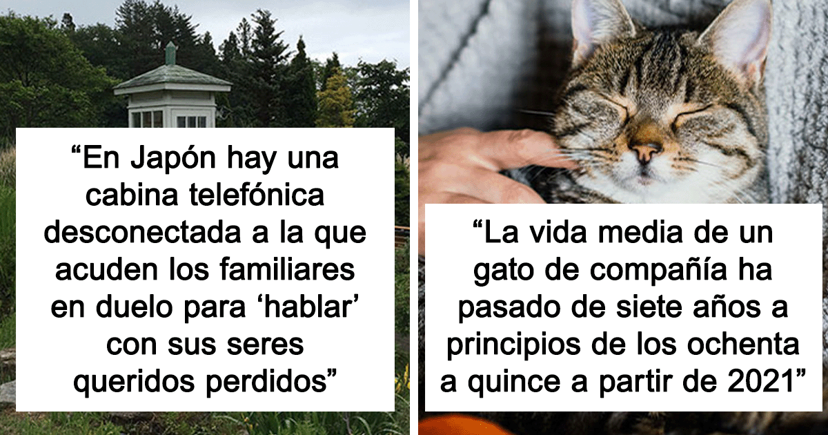 «Hoy aprendí»: 25 Datos interesantes sobre el mundo que quizá no sabías ...