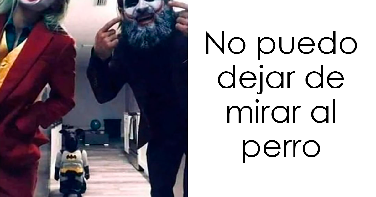 20 Divertidos y reconfortantes memes de animales para alegrarte el día ...