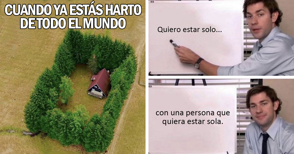 20 Divertidos memes sobre introvertidos realmente acertados | Panda Curioso