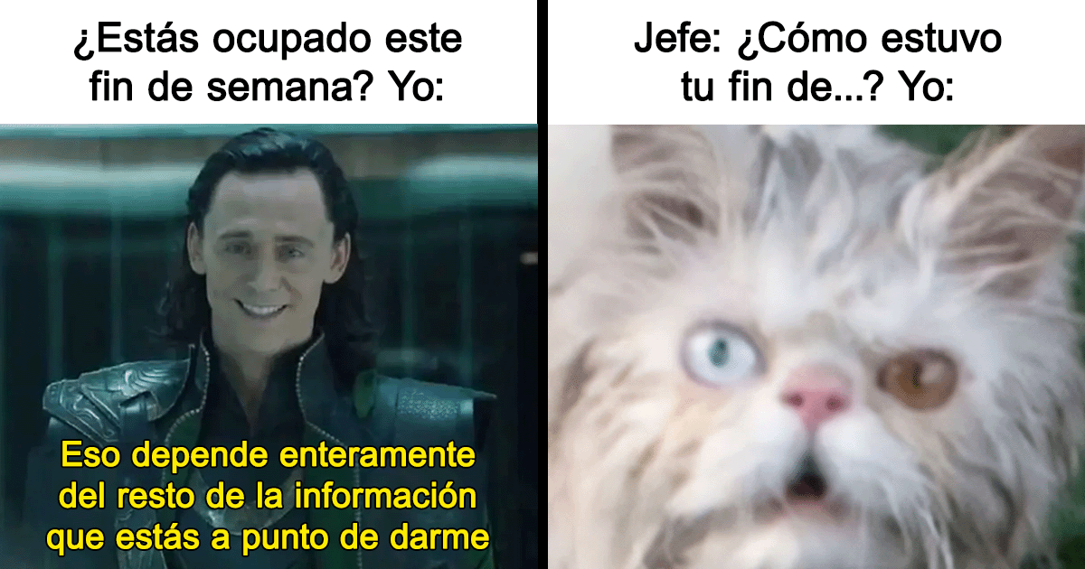 20 Ingeniosos Memes Sobre El Fin De Semana Que Te Alegrarán El Día