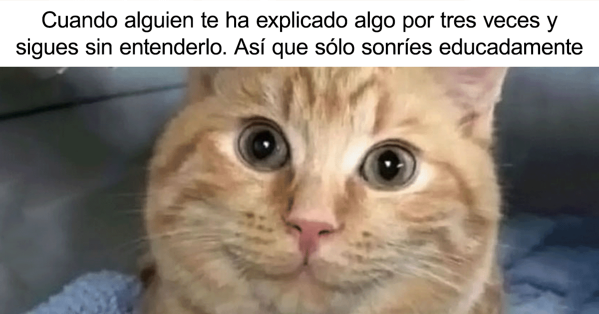 20 memes intelectuales divertidísimos que te recordarán cómo obtuviste ...