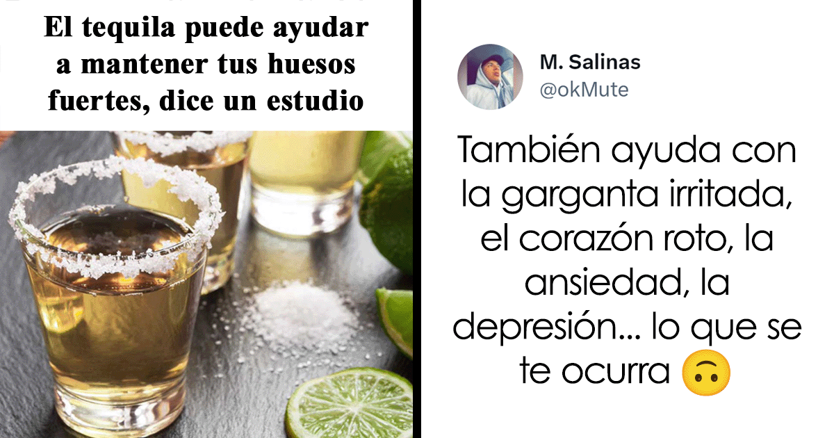 «Sólo sarcasmo»: 20 memes divertidísimos para alegrarte el día | Panda ...