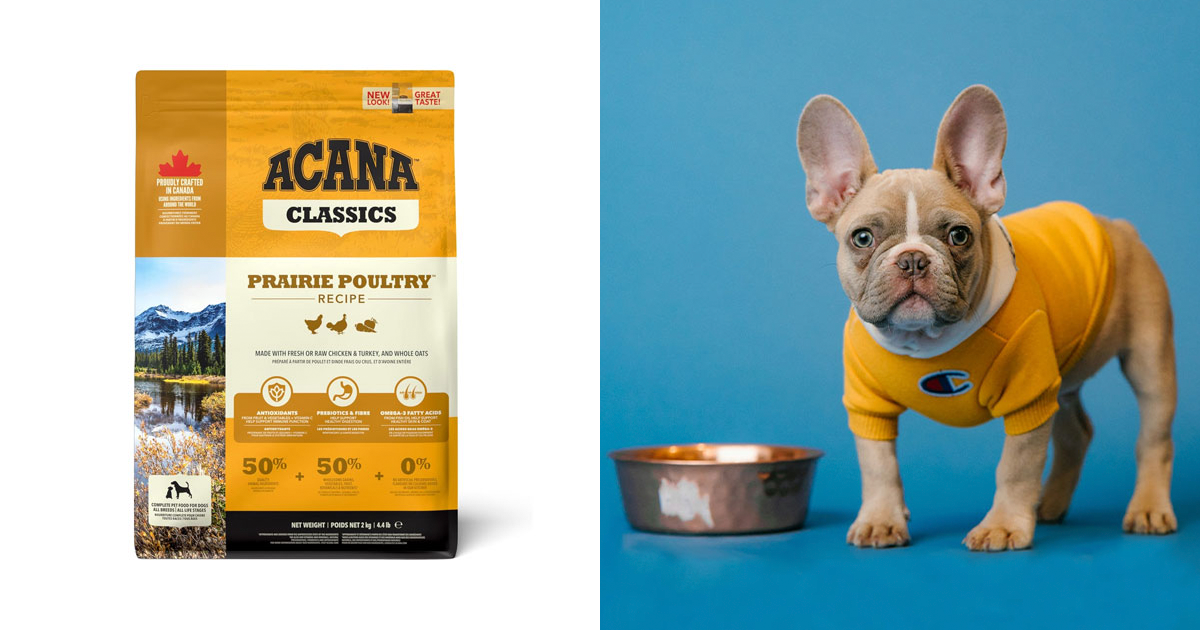 Cual Es La Mejor Comida Seca Para Perros